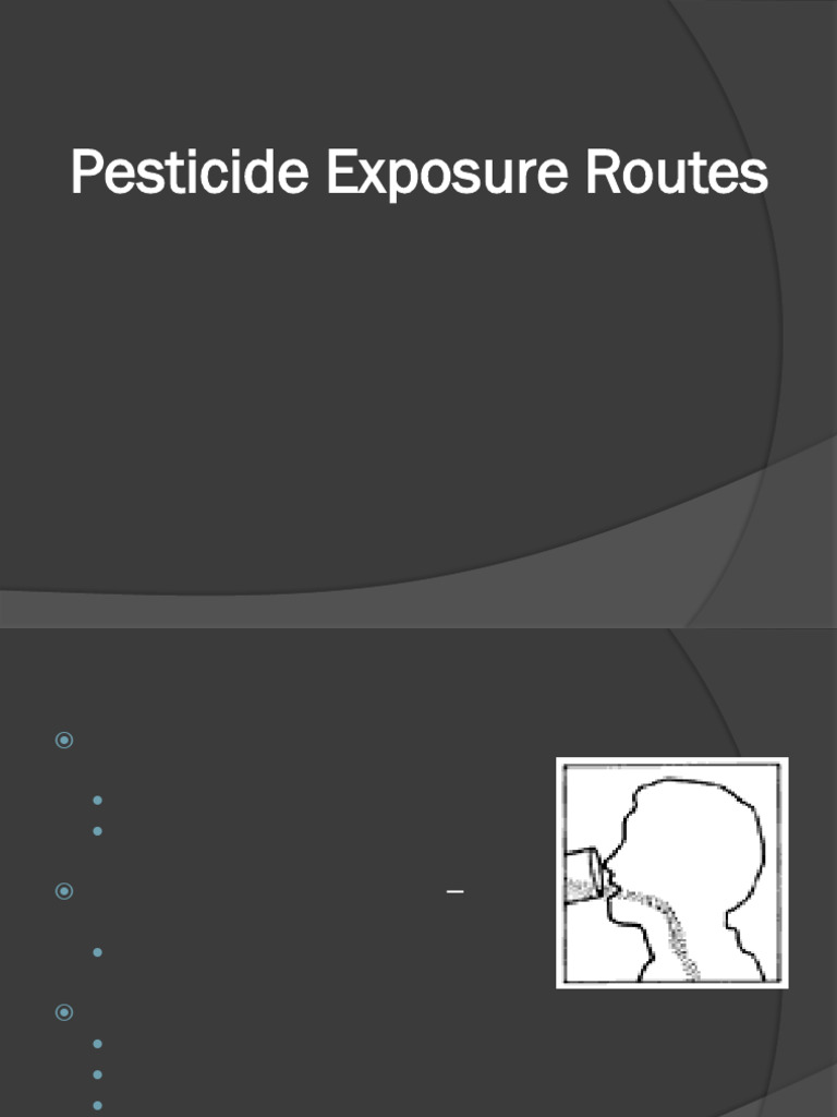 Pesticide Exposure Routes Explained | PDF