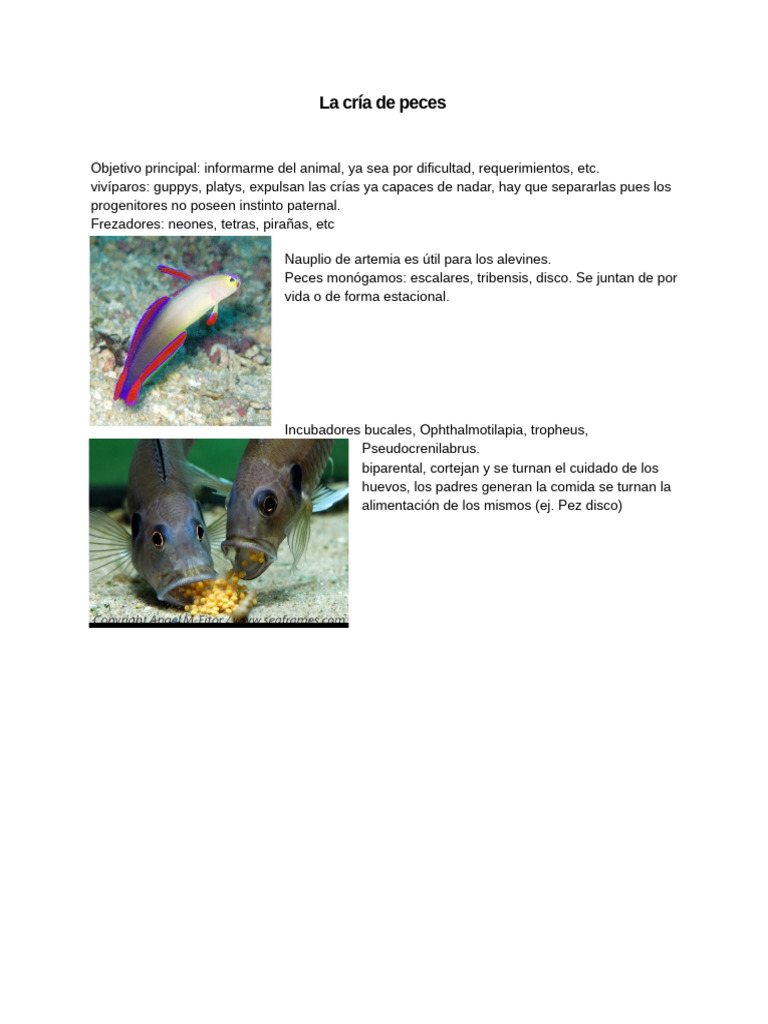 La Cría de Peces | PDF