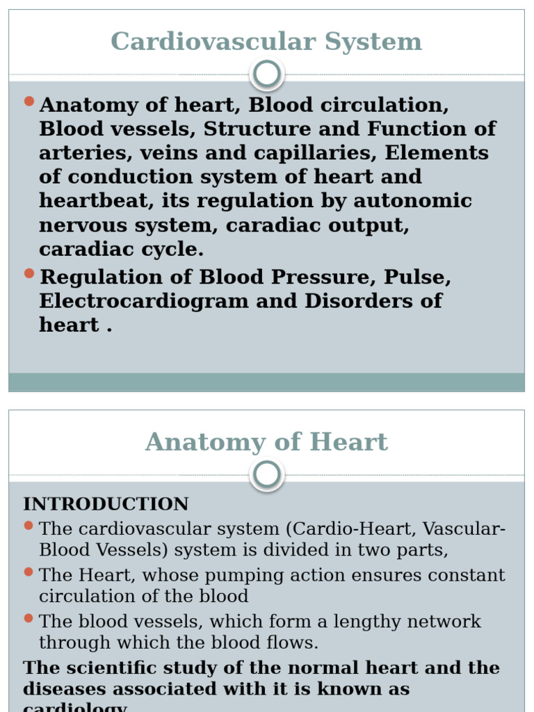 Cardiovascular System | PDF | Heart Valve | Heart