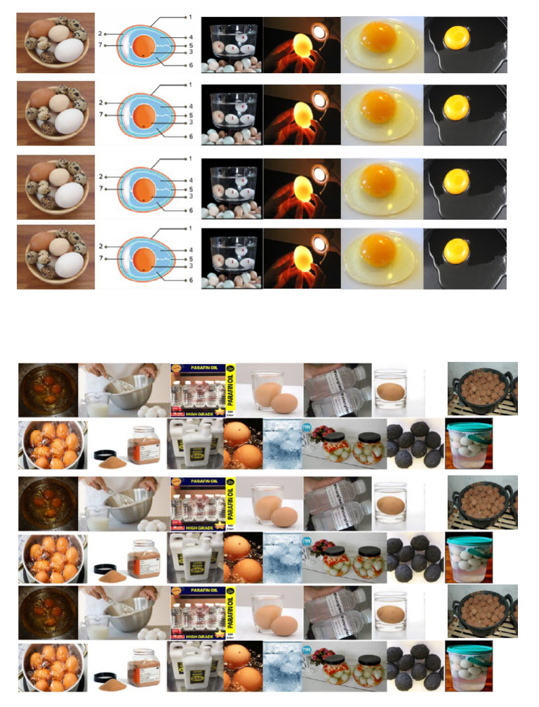 02 Gambar Tempel Materi Telur | PDF