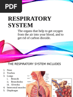 Structure and Function of The Gas Exchange System - Respiration and Gas ...