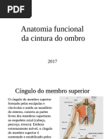 Articulação Do Ombro (Glenoumeral) Anatomia e Músculos Kenhub | PDF ...
