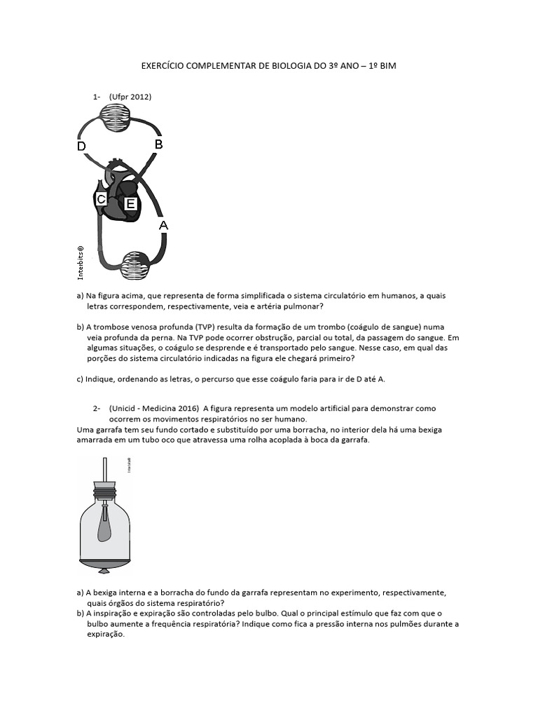 Exercício Complementar de Biologia Do 3º Ano | PDF | Pâncreas | Digestão
