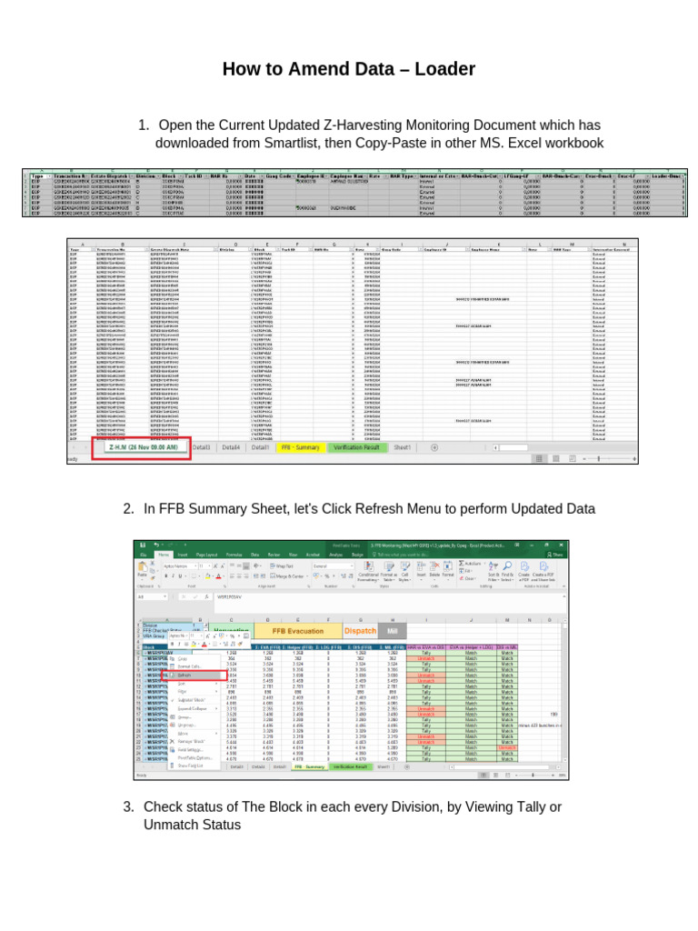 How To Amend Data - Loader | PDF