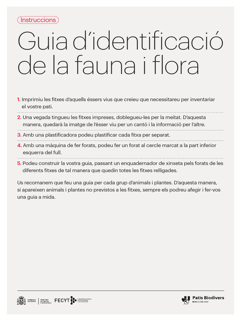 Guia Insectes 1 | PDF