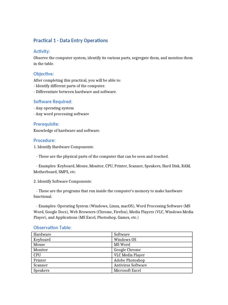 Data Entry Operations Practical Guide | PDF