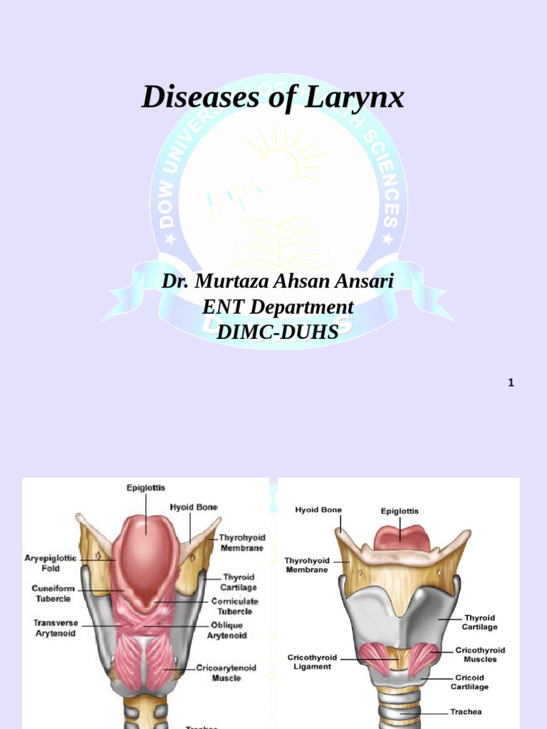Diseases of The Larynx | PDF | Larynx | Human Voice