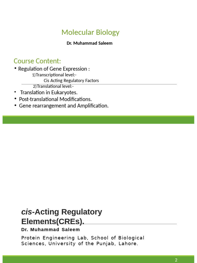 Cis Acting Regulatory Elements Cres Pdf Promoter Genetics