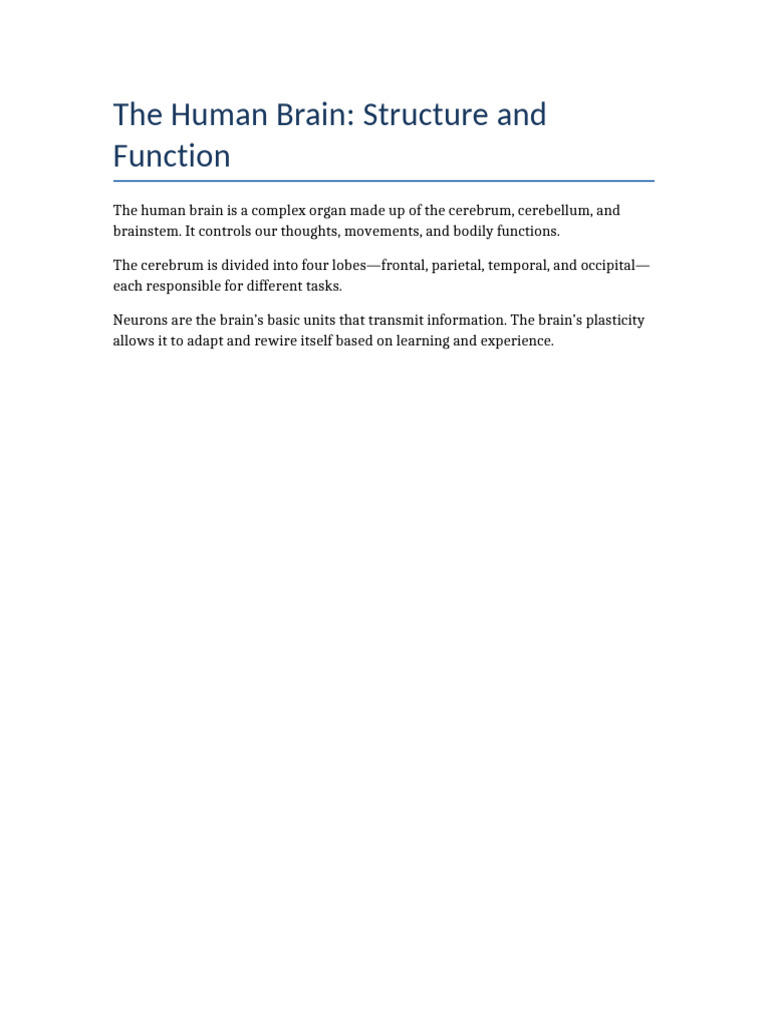 The Human Brain Structure and Function | PDF