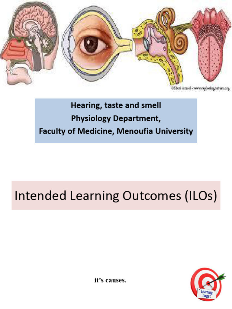Hearing, Taste, and Smell Physiology Guide | PDF | Ear | Auditory System