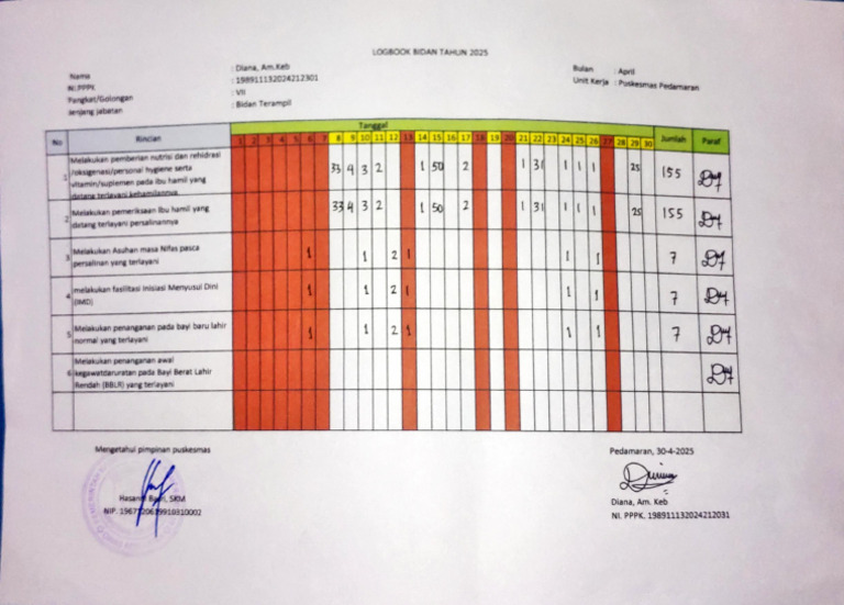 Logbook Bidan Bulan April Tahun 2025 | PDF