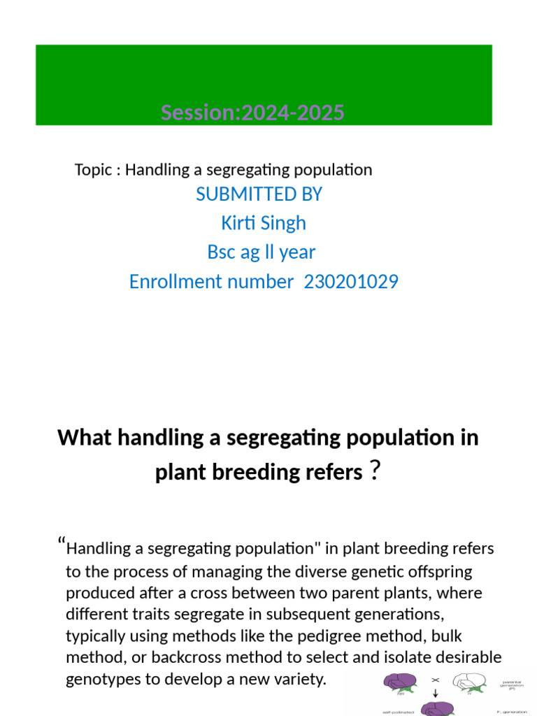 KIRTI PPT (Handling A Segregating Population) | PDF