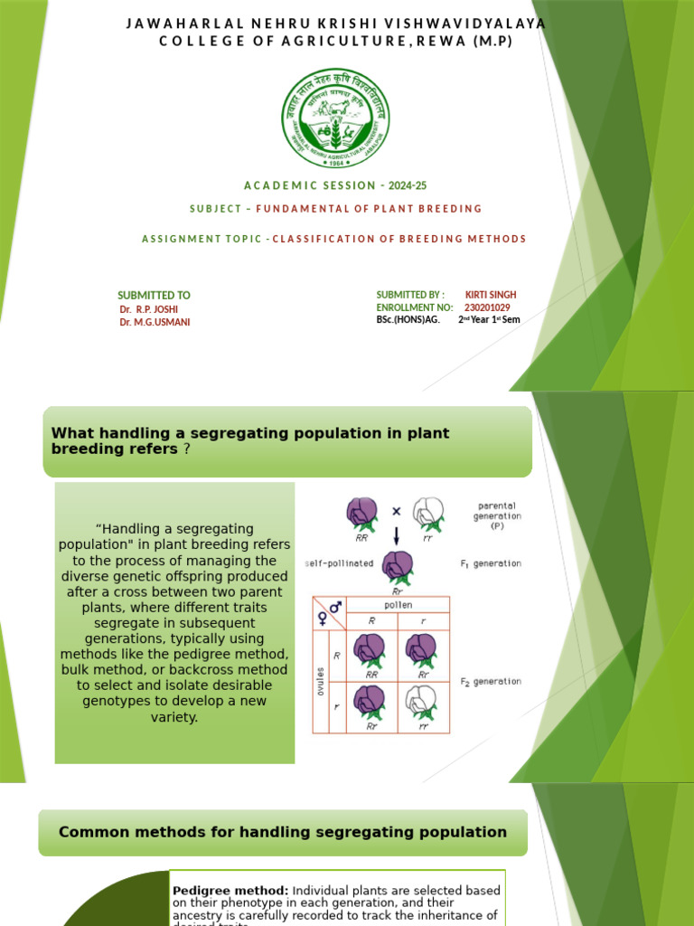 KIRTI PPT (Handling A Segregating Population) (1) - 1 | PDF | Plant ...