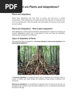 Aerial Adaptations | PDF | Habitat | Plants