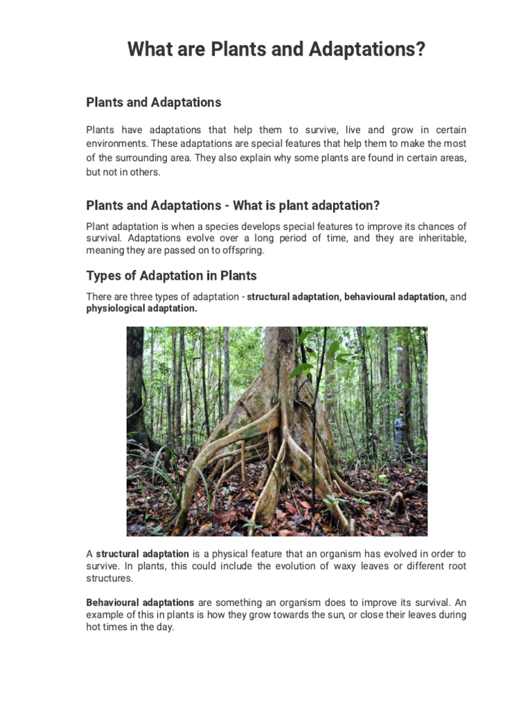 What Is Plant Adaptation - Plants and Adaptations - Twinkl | PDF ...