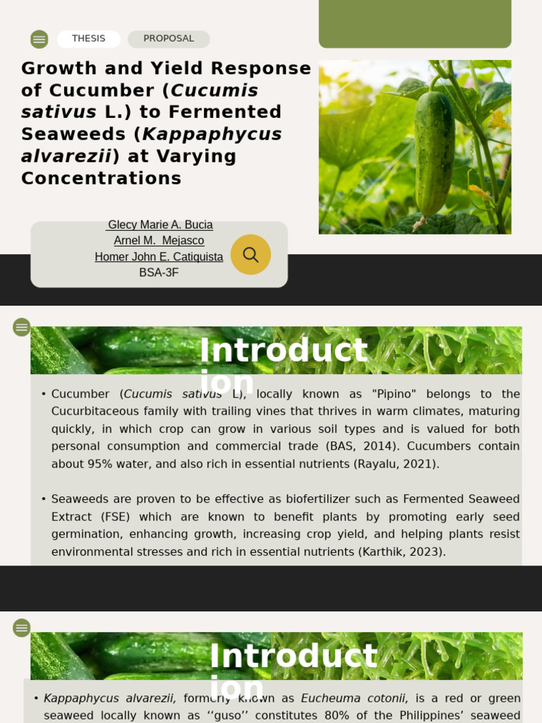 Thesis Proposal | PDF | Cucumber | Seaweed