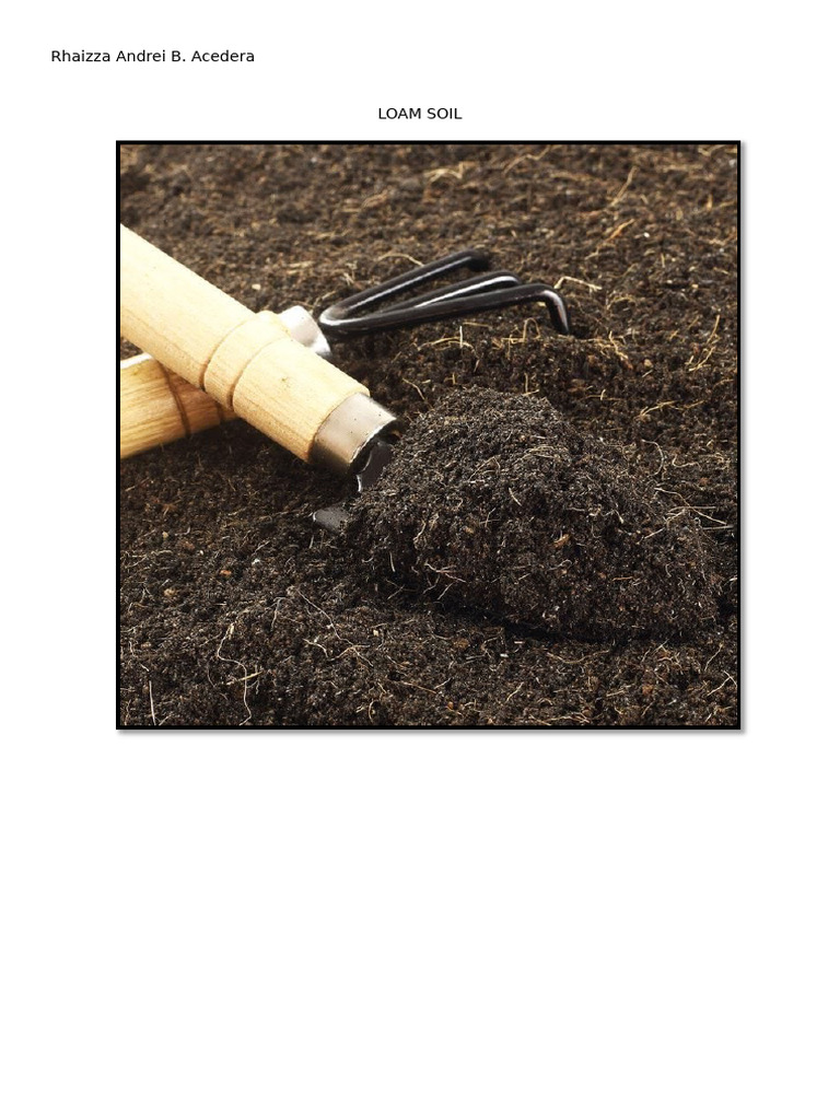 Loam Soil | PDF