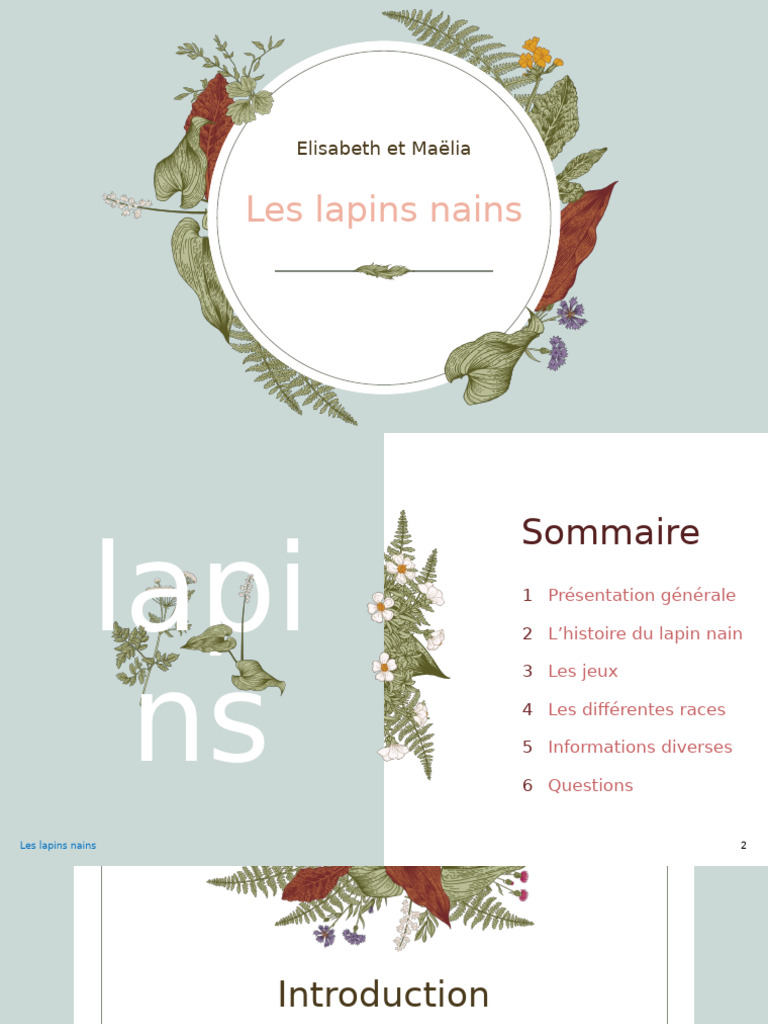 Les Lapins Nains | PDF | Lapin | Races