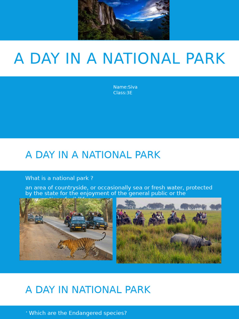 Exploring National Parks and Wildlife | PDF