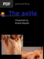 The Axilla Region - Borders - Contents - TeachMeAnatomy | PDF | Arm | Limbs (Anatomy)