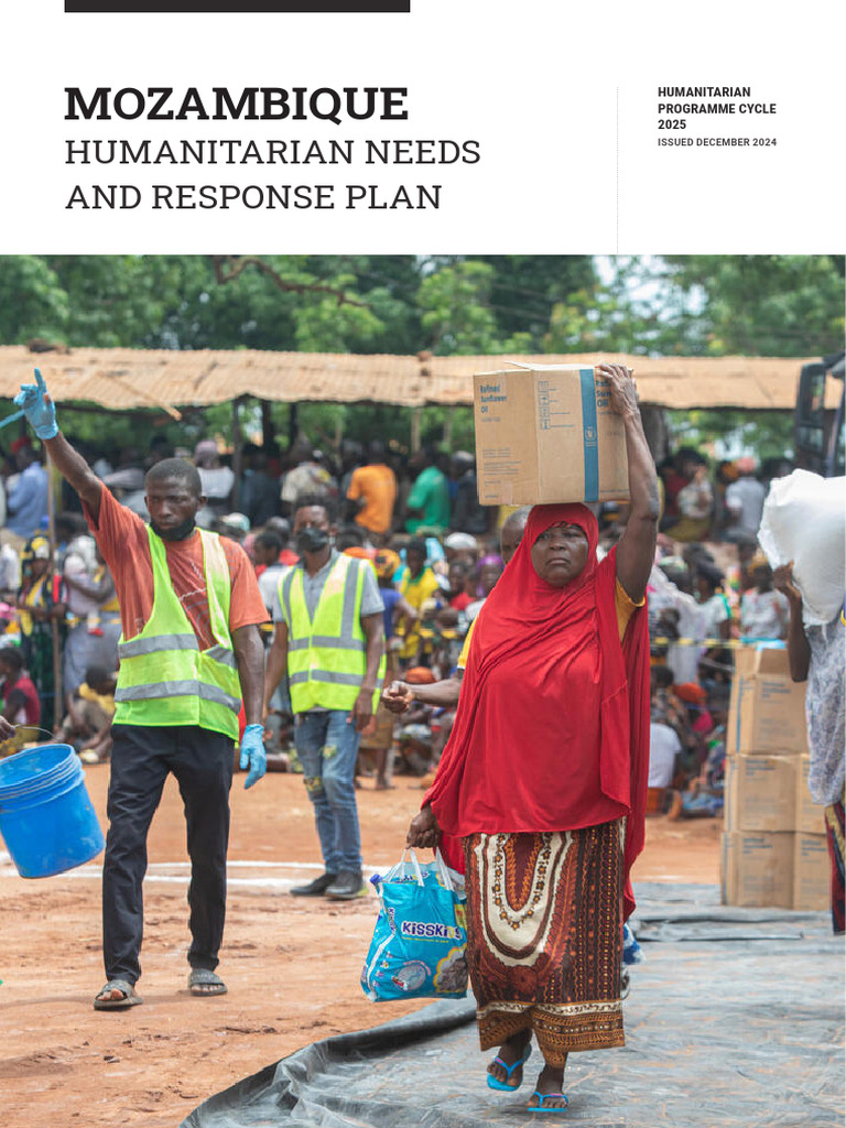 Mozambique 2025 HNRP Final | PDF | Internally Displaced Person ...