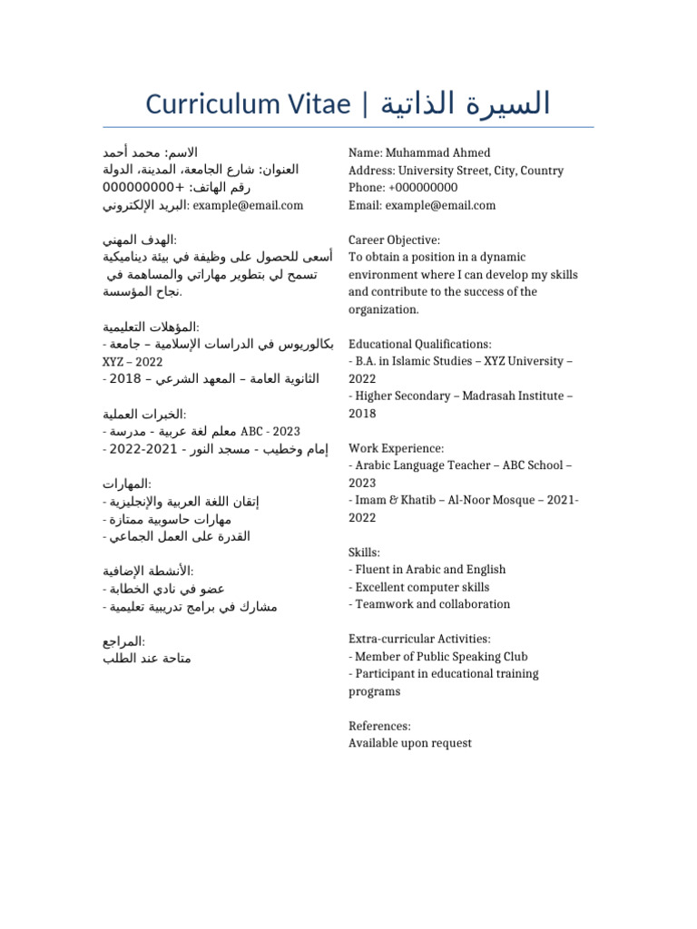Bilingual CV Template | PDF