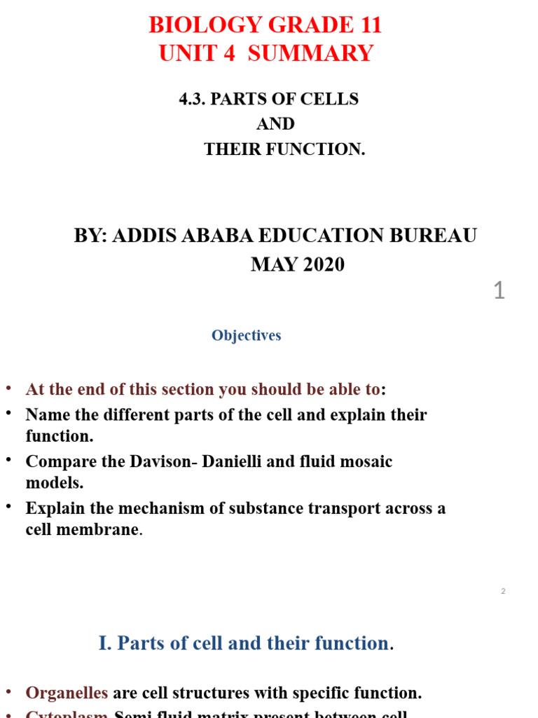 BIOLOGY GRADE 11 UNIT 4 SUMMARY .Cell Parts | PDF | Endoplasmic Reticulum | Cell (Biology)
