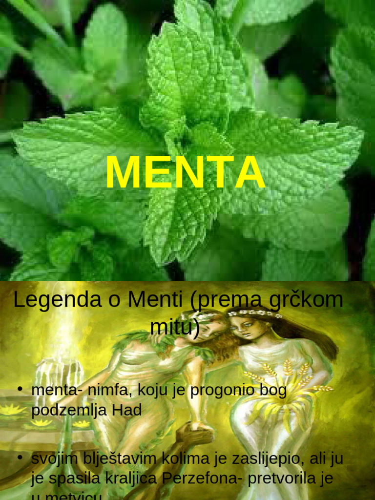 Menta | PDF