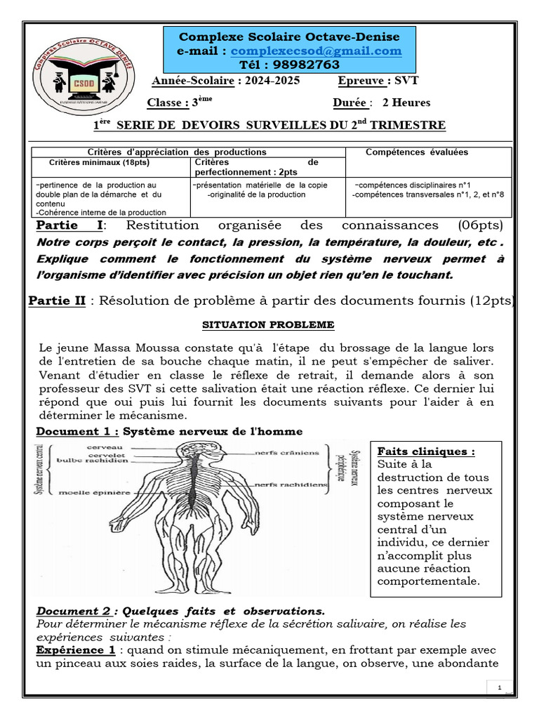 Mécanisme de la salivation réflexe en SVT | PDF | Salive | Nerf