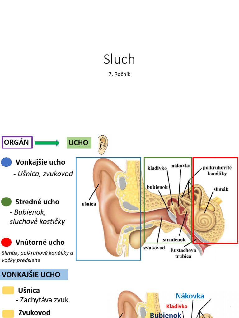 Sluch Žiaci | PDF