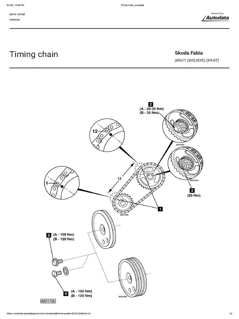 Timing Chain - Autodata | PDF