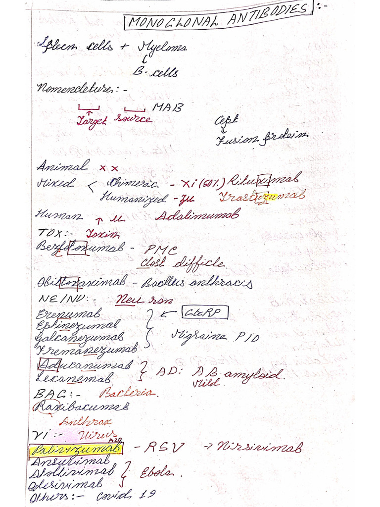 Monoclonal Antibody Notes | PDF