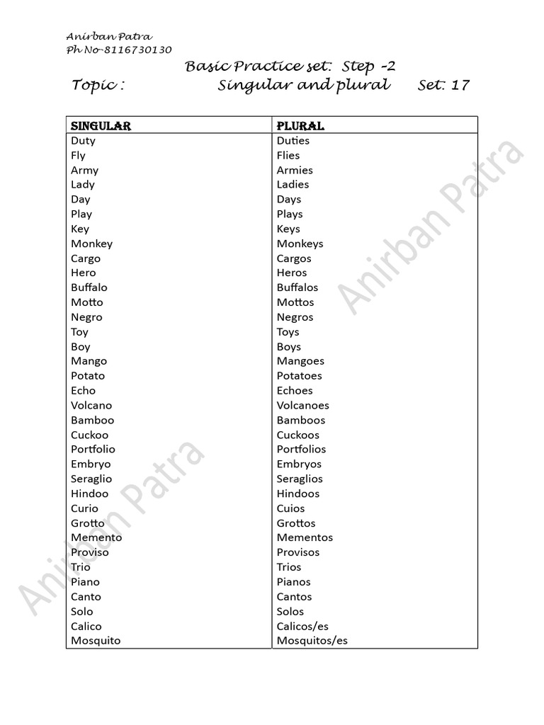 Basic Step 2 Singular Plural Answer | PDF