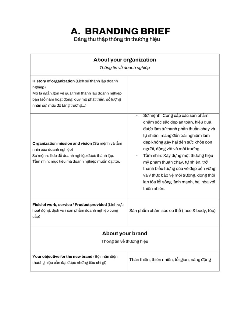 Branding Brief | PDF