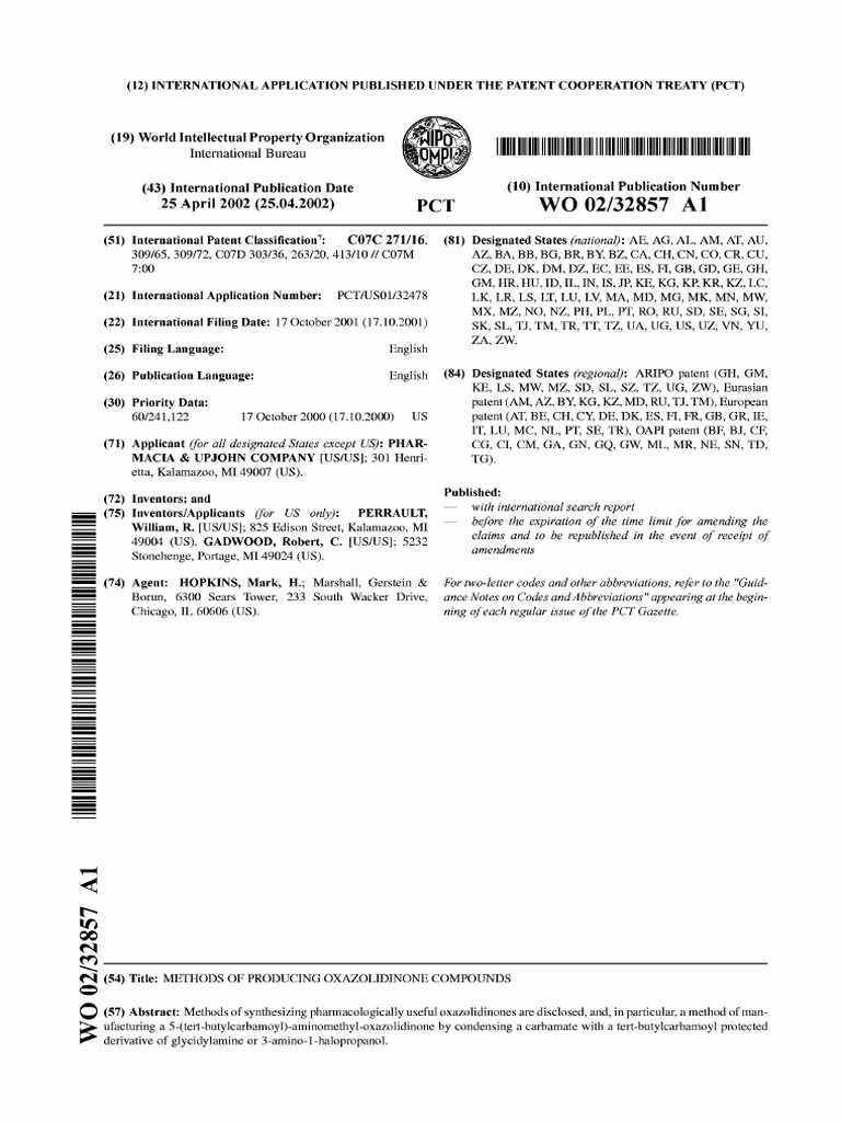 Ip Application | PDF