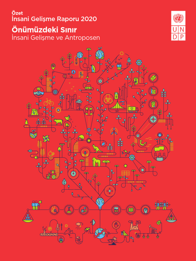 UNDP-TR-HDR-OVERVIEW-TR-2020 | PDF