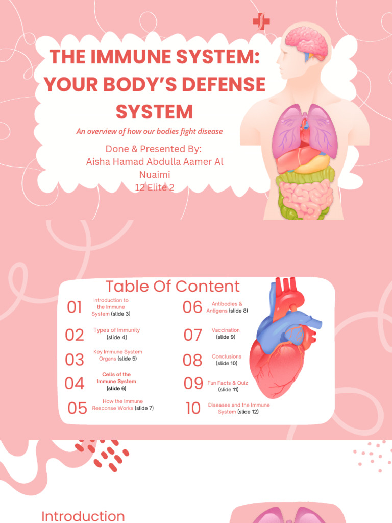Pink Illustrative The Human Body Presentation | PDF | Immune System ...