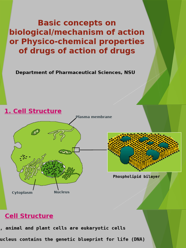 1 Basic Concepts On Biologicalmechanism of Action of Drugs | PDF | Cell ...