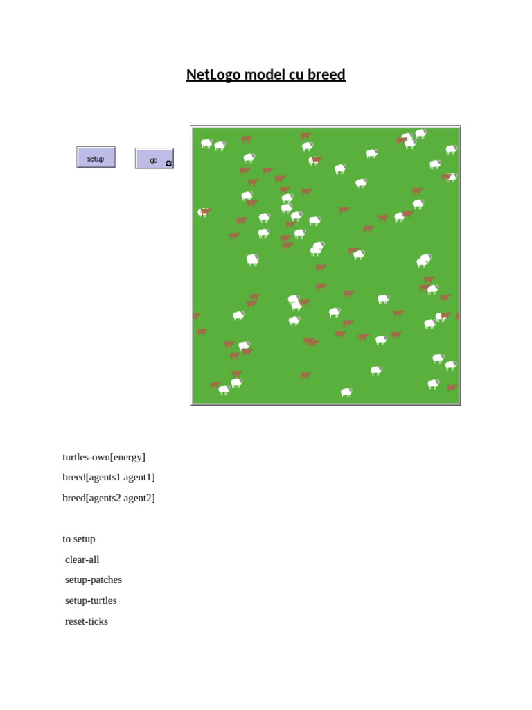 NetLogo Stoica Andrei | PDF