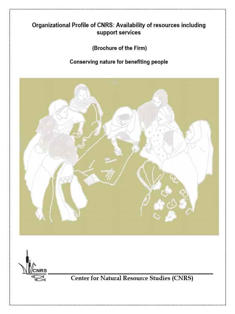 CNRS Organizational Profile | PDF | Public–Private Partnership ...