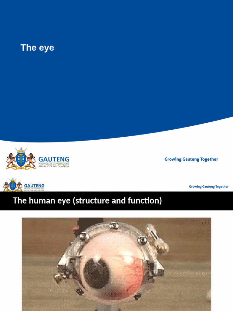 Human Eye Structure and Function Guide | PDF | Eye | Myopia