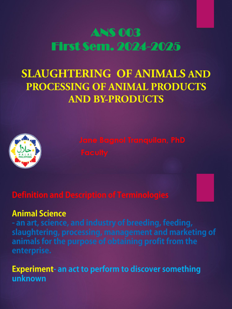 1-2024-2025-ANS-003-Studs-Lect-1 | PDF | Meat | Animal Slaughter