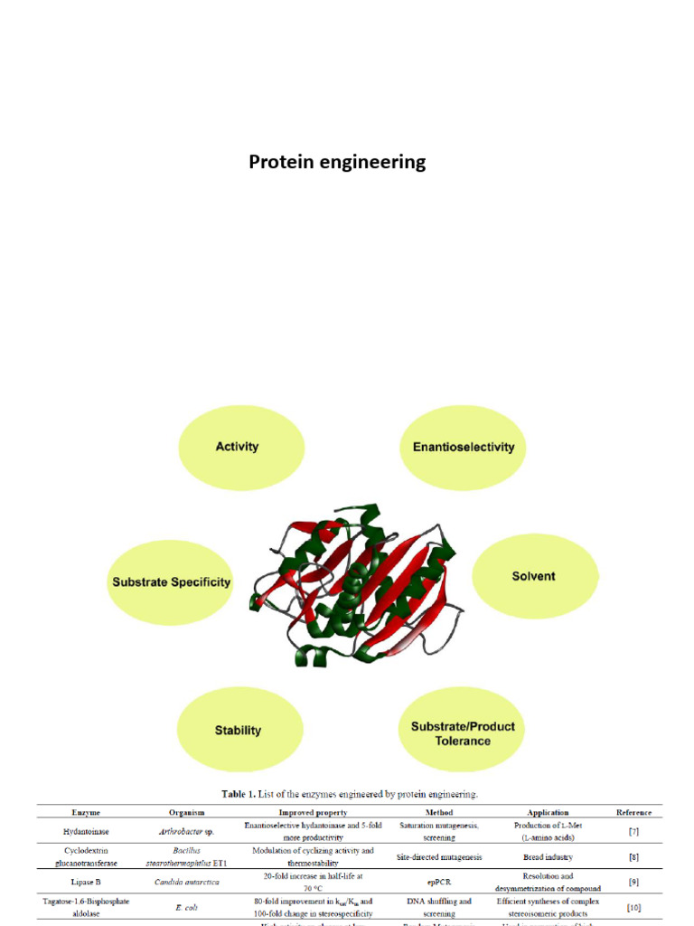 Enhancing Protein Stability Through Mutagenesis | PDF | Cysteine | Enzyme