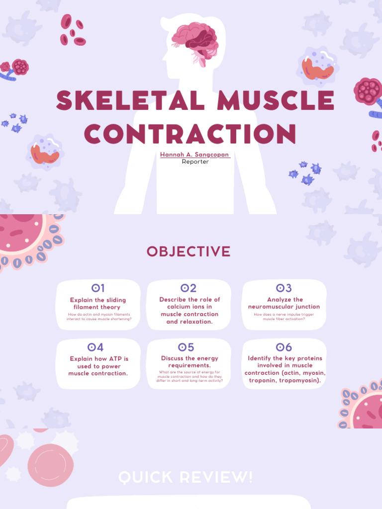 Chapter 7 SKELETAL MUSCLE Hannah | PDF | Muscle Contraction | Skeletal Muscle