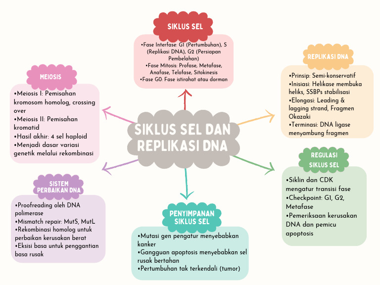 Siklus Sel dan Regulasi DNA | PDF