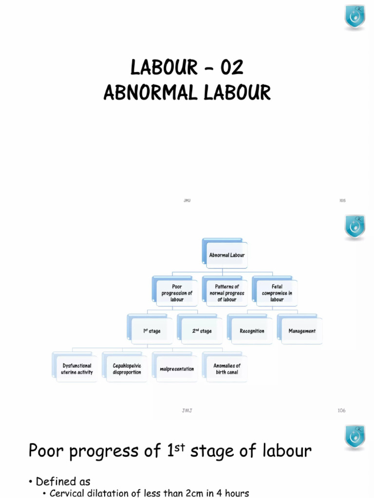 Normal Labour and Abnormal Labour - 20240520_212222 | PDF