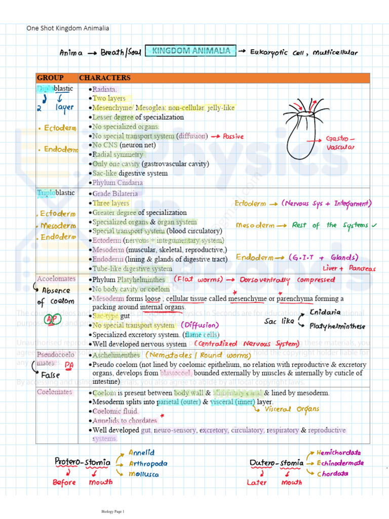 1-Oneshot Lecture Note Kingdom Animalia | PDF | Zoology