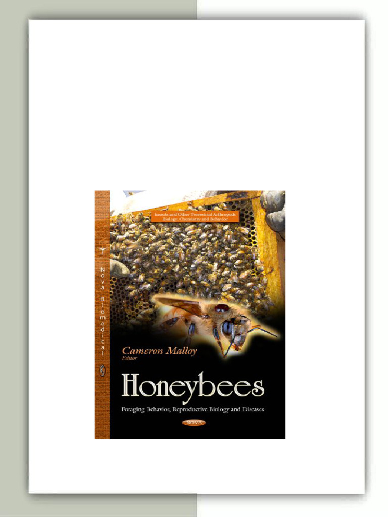 Honeybees Foraging Behavior Reproductive Biology and Diseases Insects ...