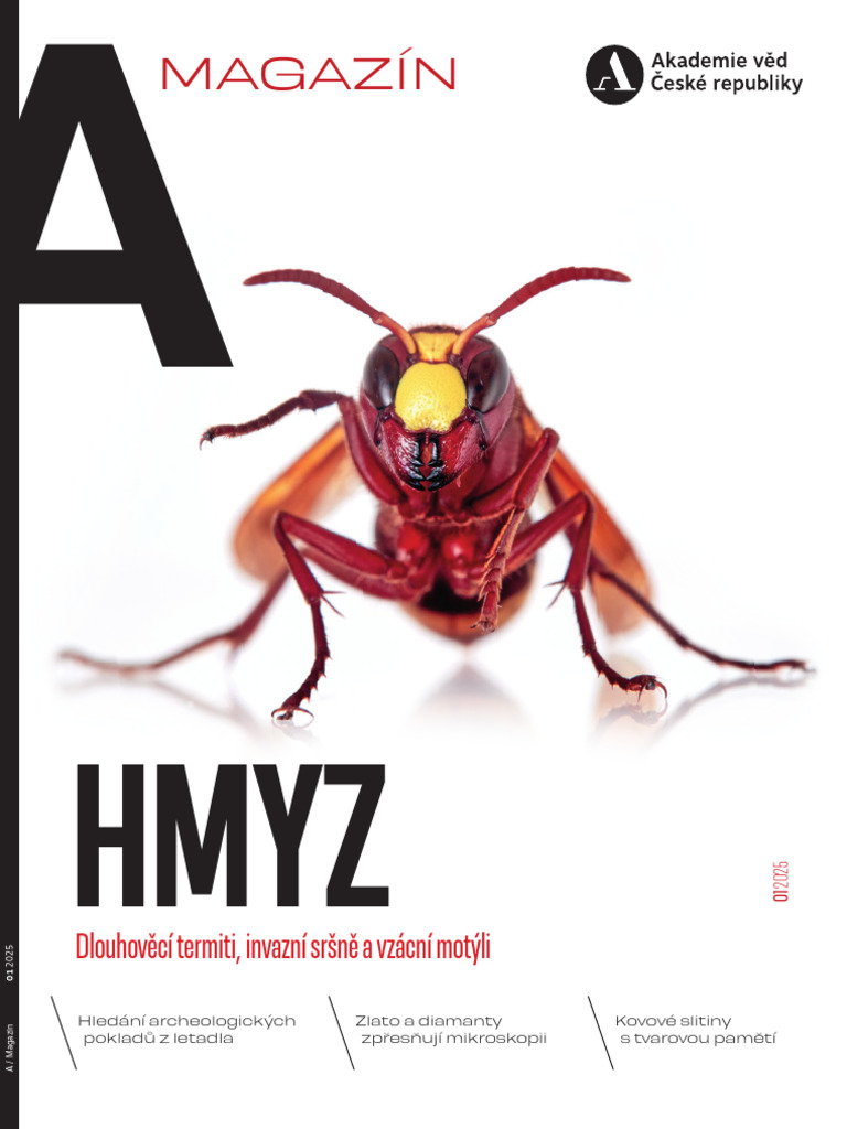 A-1_2025-komplet | PDF