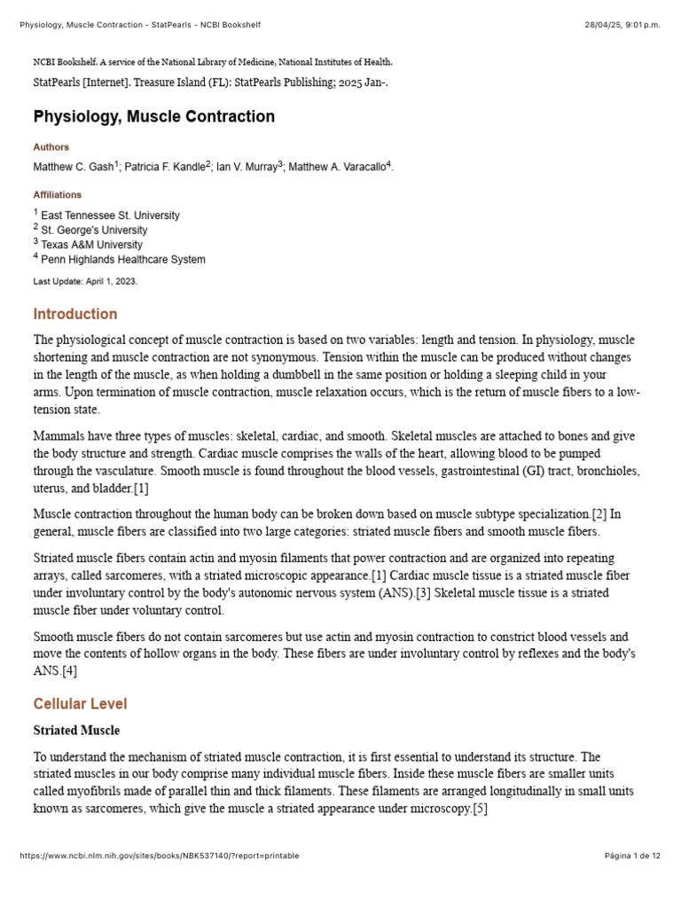 Physiology, Muscle Contraction - StatPearls - NCBI Bookshelf | PDF ...